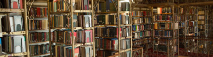New library acquisitions advance academic distinction, diverse ...