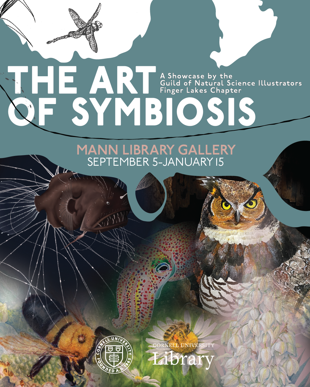 Science illustrators show beauty of symbiosis – Cornell University Library