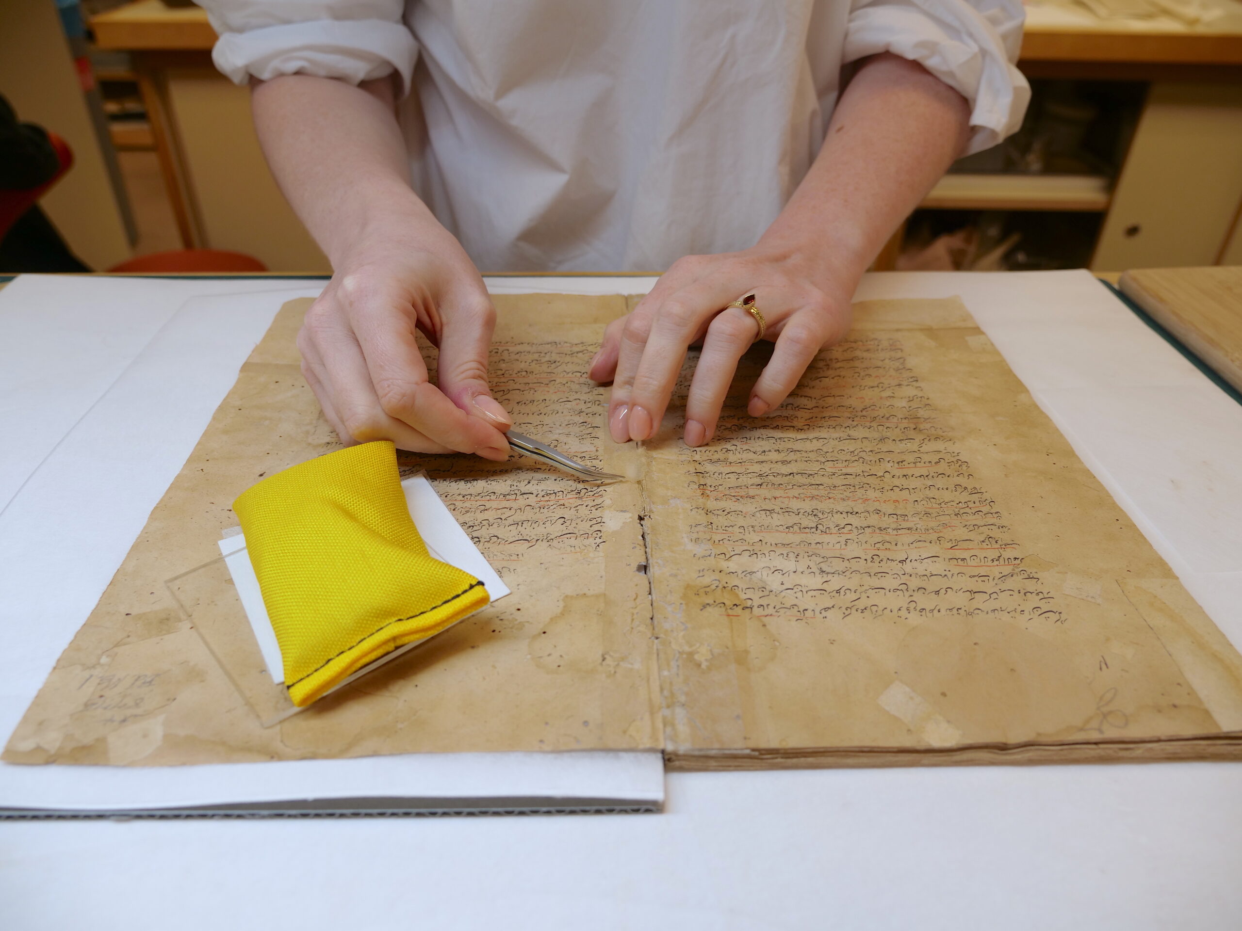 The Conservation Lab: Preserving the future of research and discovery ...