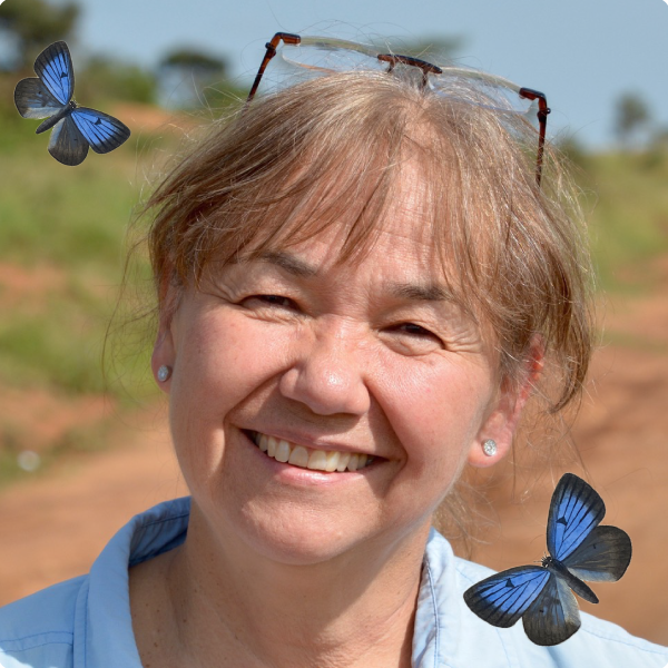 Events celebrate Nabokov as butterfly scientist – Cornell University ...